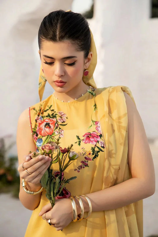 Maria B. Latest Luxury, Summer & Festive Collection 2025 – Raja Sahib