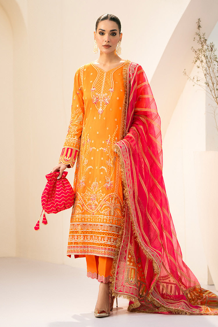 Zebaish Luxury Formals - Ayika – Raja Sahib