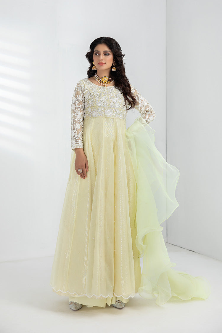 Shahbano - Pristine Ready to Wear Collection - Flemi – Raja Sahib